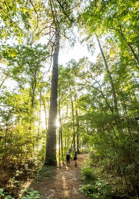 Lots for Sale in Texas | The Estates of Texas Grand Ranch