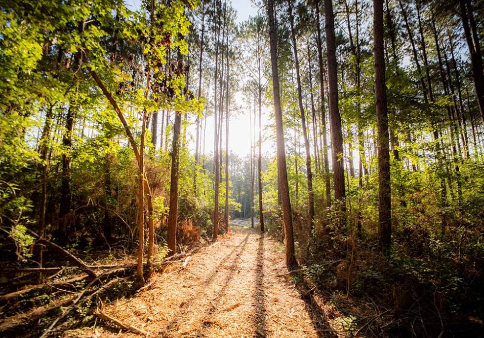 Lots for Sale in Texas | The Estates of Texas Grand Ranch