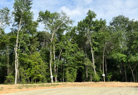 Featured Lots | The Estates of Texas Grand Ranch